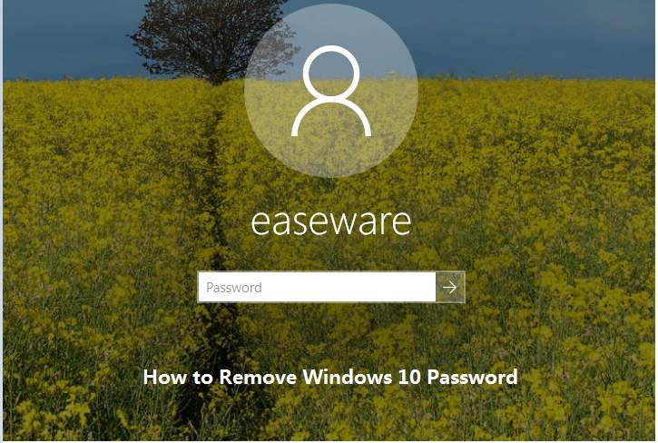 How to Remove Password in Windows 10. Easily! - Driver Easy