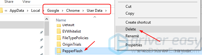 Solved: Couldn't load plugin Chrome Error on Windows 10 - Driver Easy