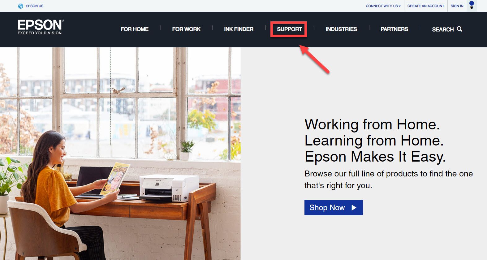 Epson WorkForce DS 30 Driver Download for Windows 10/8/7 - Driver Easy