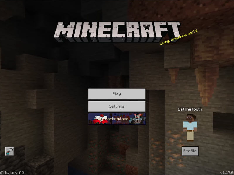 Black Screen For Minecraft Bedrock – PWPK