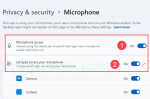 How to Fix Windows 11 Microphone Not Working - Driver Easy