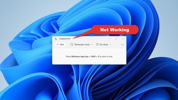 [Fixed] Snipping Tool Not Working on Windows 10/11 - Driver Easy